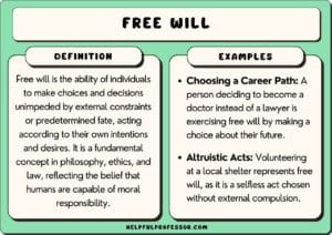 35 Free Will Examples (2025)