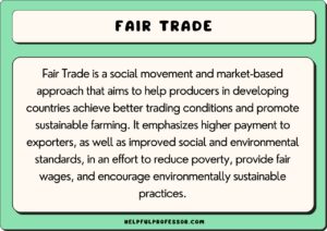 15 Fairness Examples (2025)