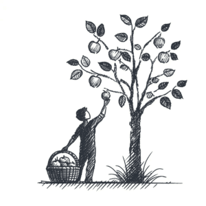 10 Fixed Ratio Schedule Examples (2025)